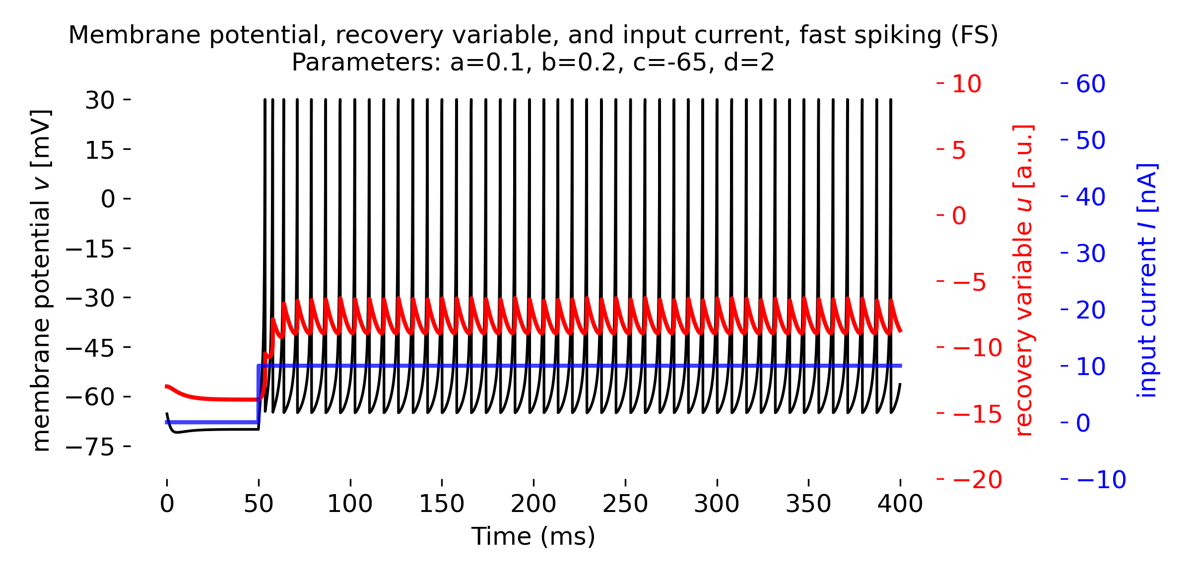 Izhikevich model - Fabrizio Musacchio