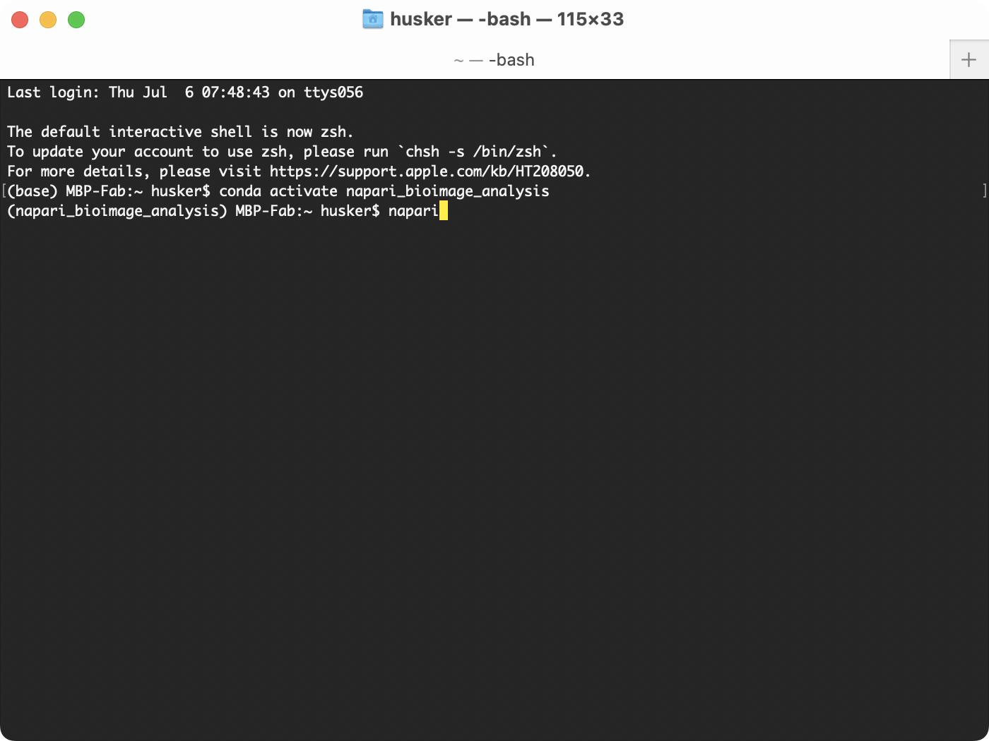 Napari installation guide - Fabrizio Musacchio